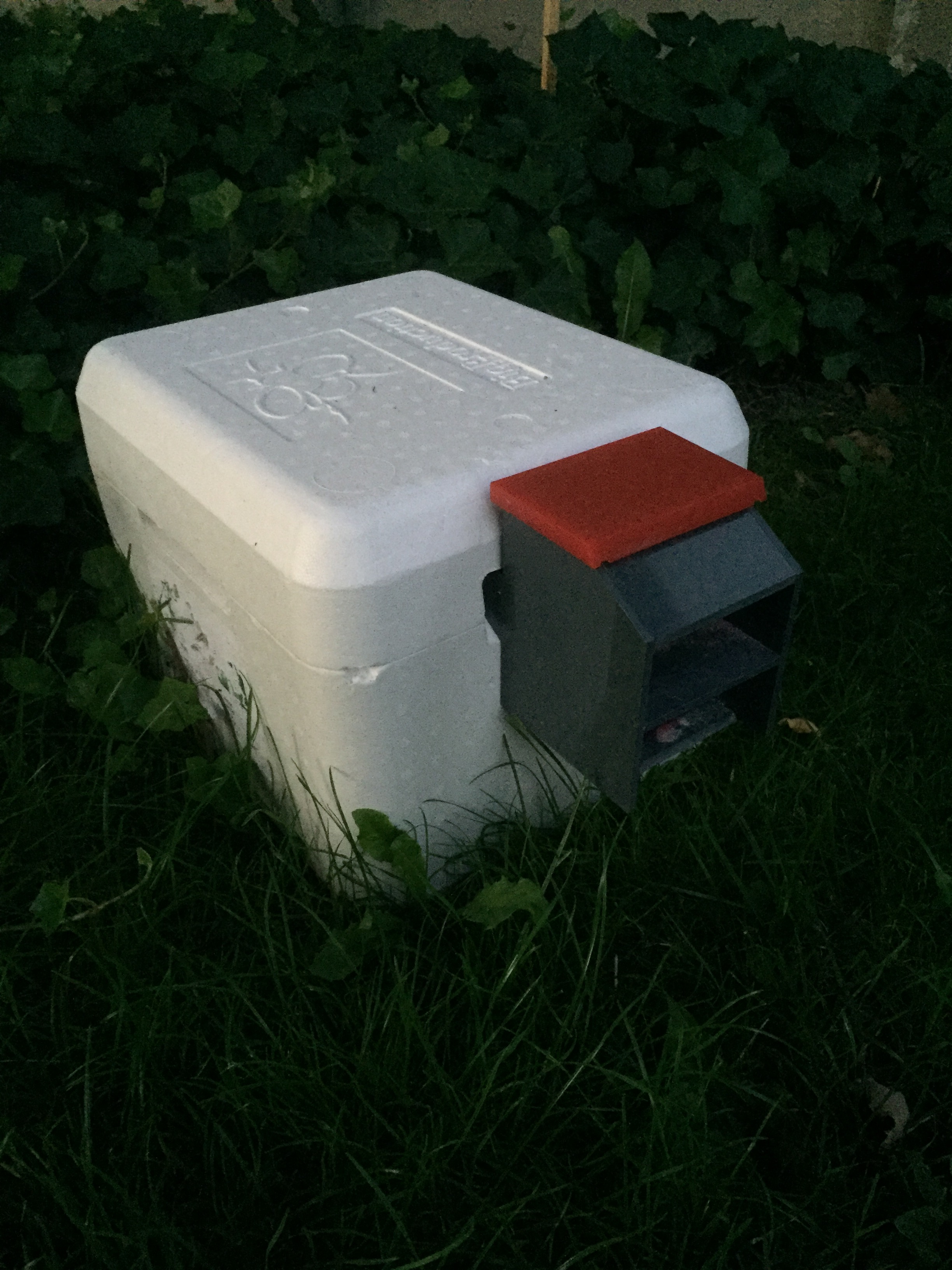 Dispenser for bumble bee hives - EWH BioProduction